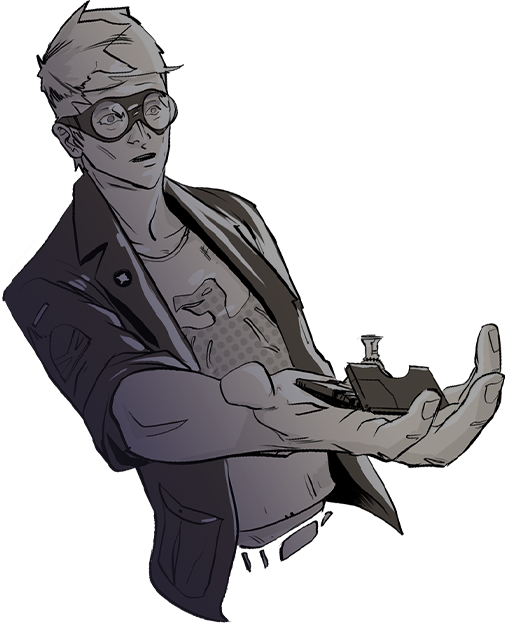 Paradox Customs Software Development