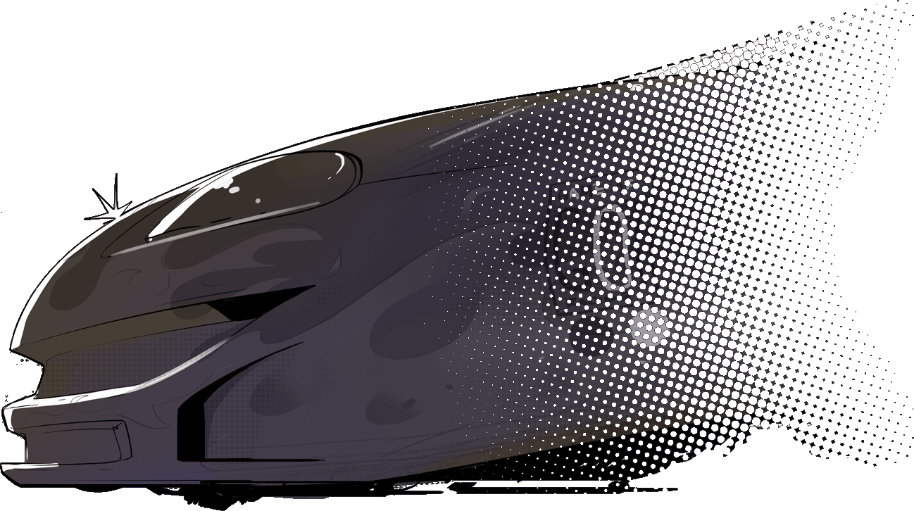 Paradox Customs Software Development